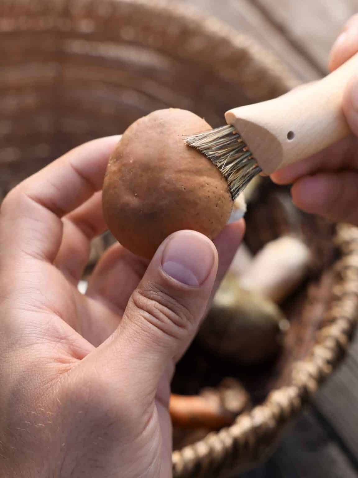 Flawless Fungi: How to Clean Mushrooms Properly