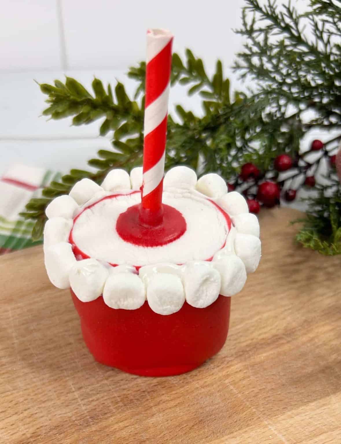 Easy Homemade Christmas Marshmallow Pops: Santa's Bag