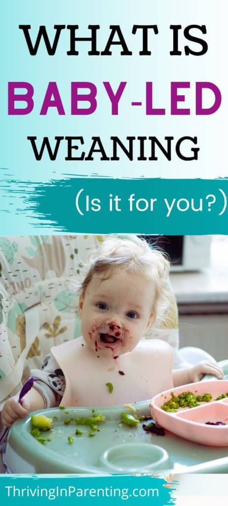 What is Baby-Led Weaning? Benefits, Pros and Cons