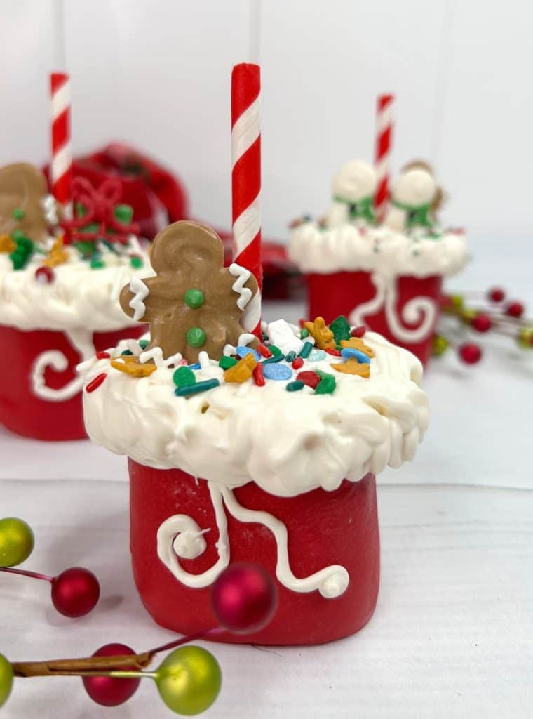 Easy Homemade Christmas Marshmallow Pops: Santa's Bag