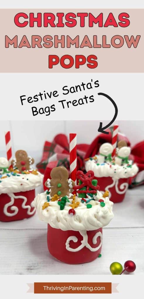 Easy Homemade Christmas Marshmallow Pops: Santa's Bag