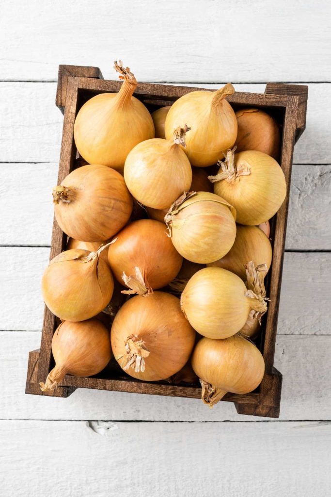 Stop Wasting Onions! Here’s how To Store Them Right