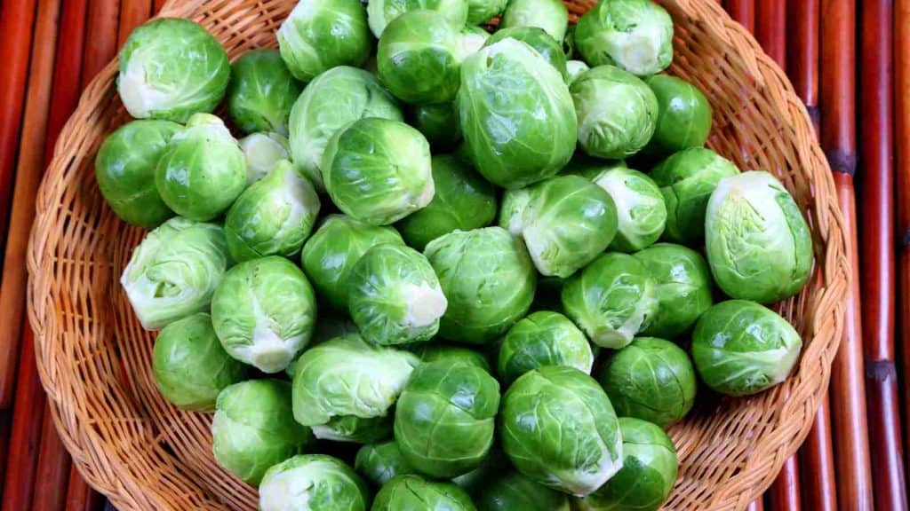 15 Omega-3 Rich Foods You Should Eat More Of