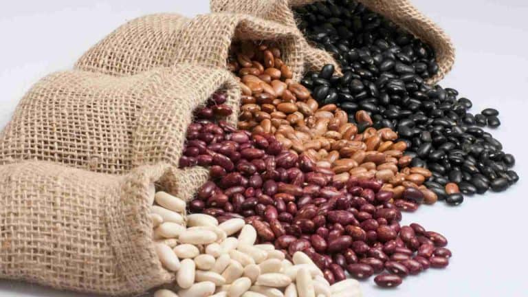 Fuel your mind: 15 foods that boost brain function and sharpen memory