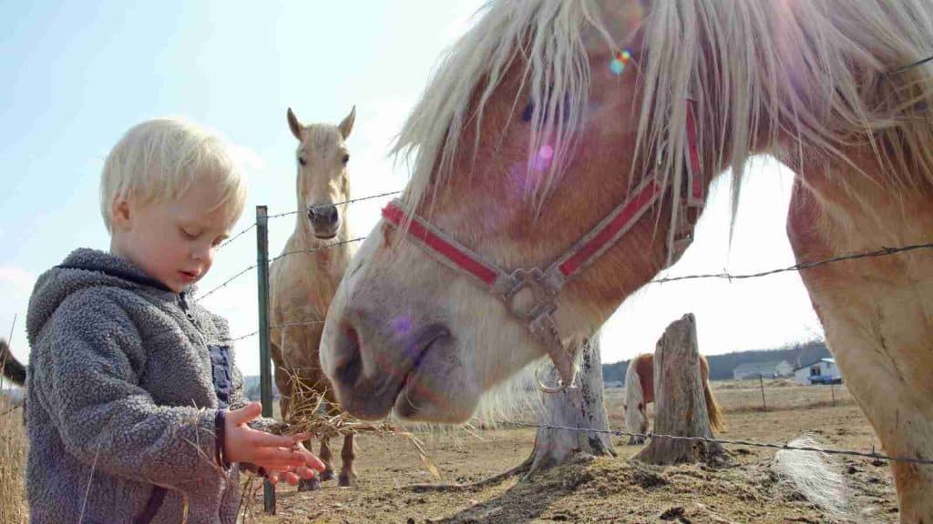 25 Rustic Boy Names That Sound Like They're Straight Out of a Country Song