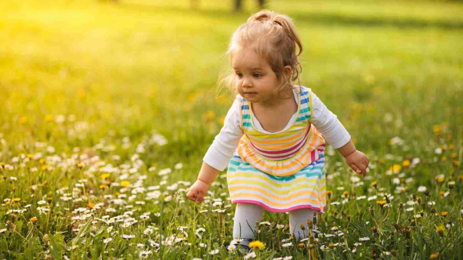 25 Enchanting Fairy Girl Names Full of Whimsy and Magic