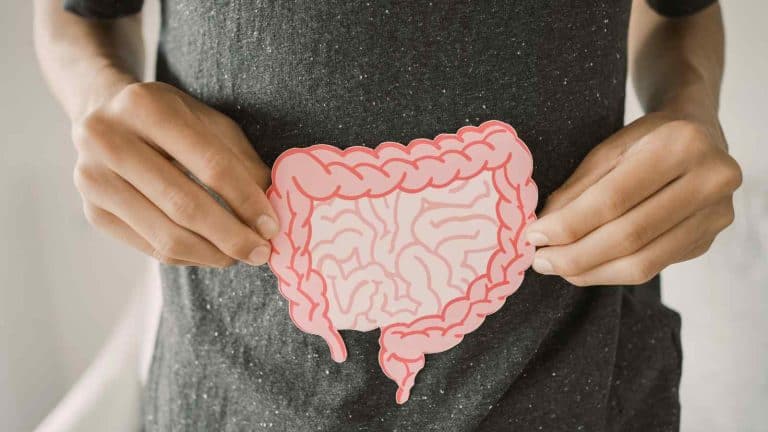 15 Best Foods That Support Digestion And Ease Bloating