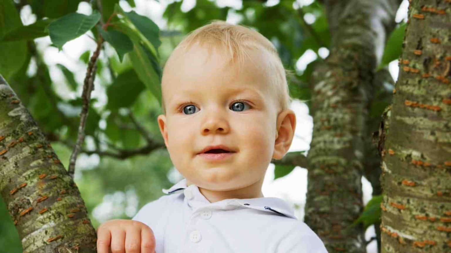 15 plant boy names rooted in nature