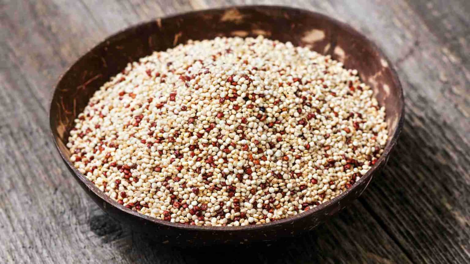10 Best Filling Foods That Help You Stay Fuller for Hours