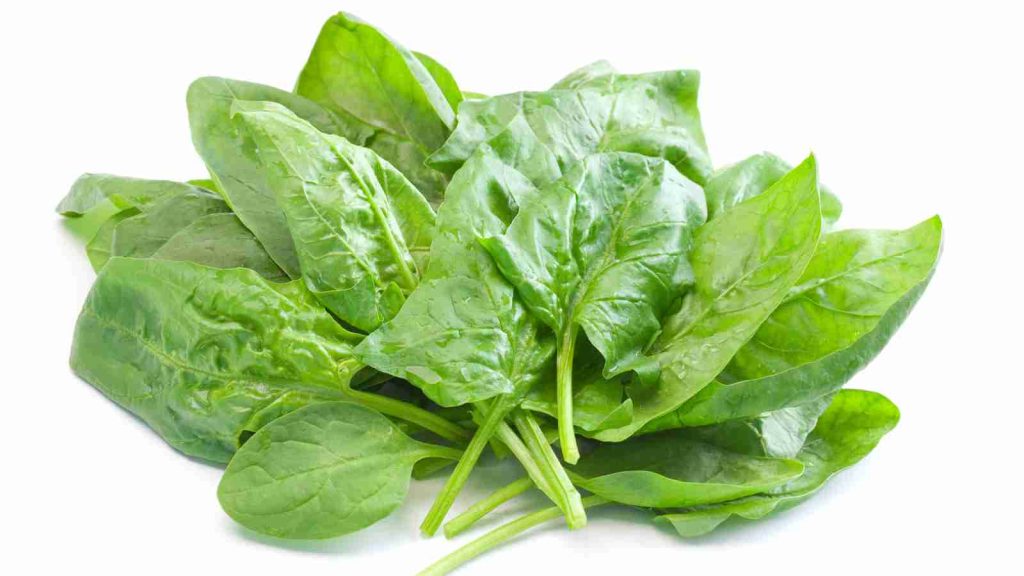 15 Foods That Fight Fatigue: What to Eat When You’re Feeling Tired