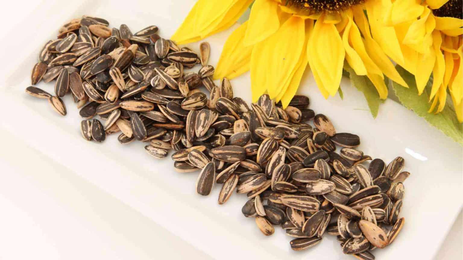 The Best 20 Foods for Eye Health and Clear Vision