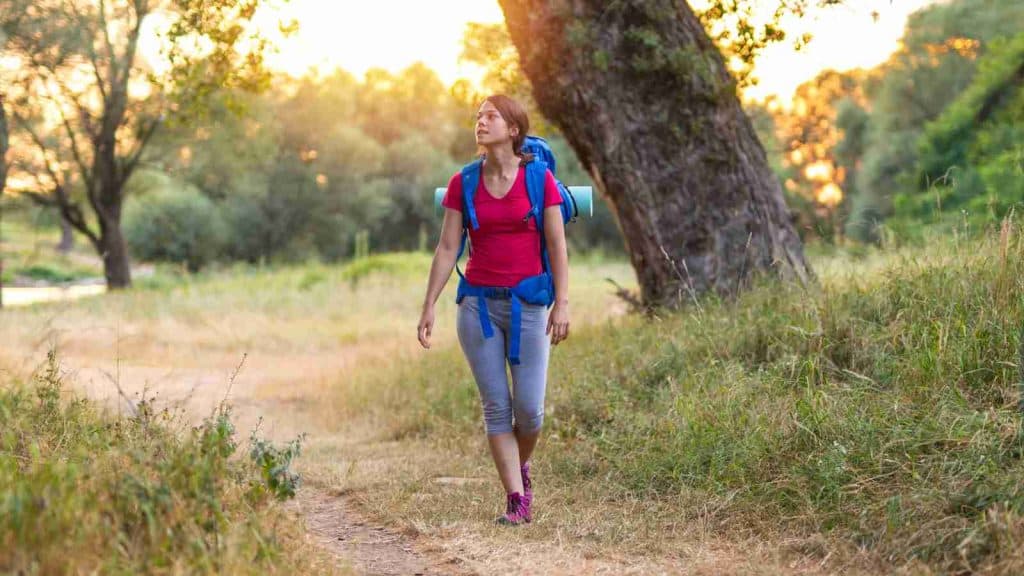 Why You Should Try Forest Bathing: 10 Benefits of Nature Walks