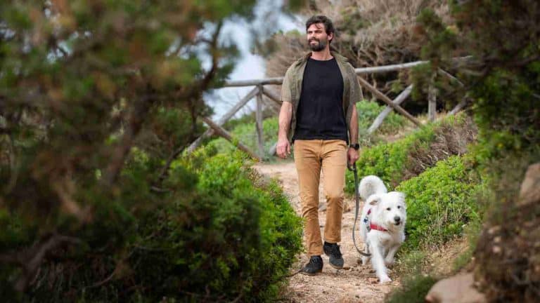 10 Benefits of Forest Bathing for Stress, Mood, and Mental Clarity