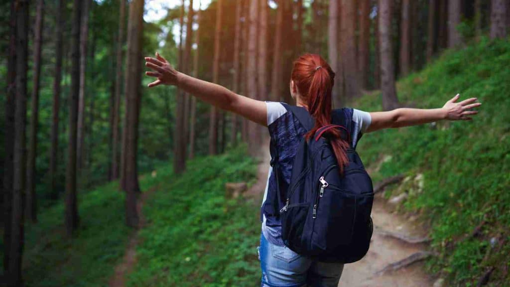 Why You Should Try Forest Bathing: 10 Benefits of Nature Walks