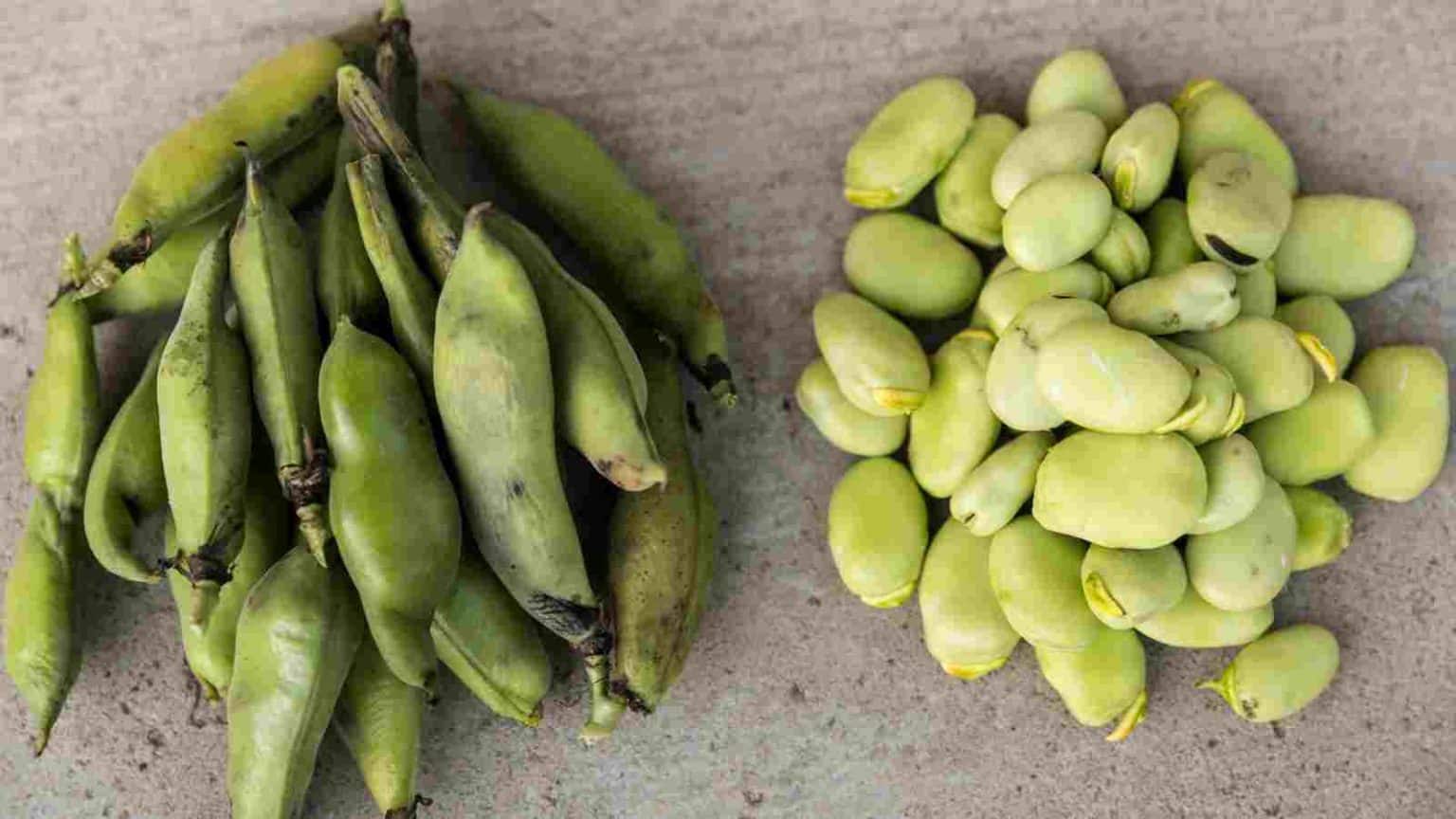 How to Get More Iodine in Your Diet: Top Food Picks