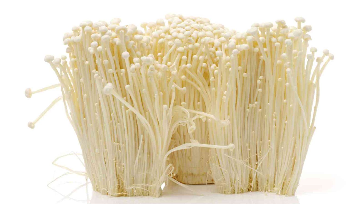 16 Types of Mushrooms and How to Turn Them into Perfect Dishes