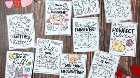 21 Valentine’s Cards For Kids That Are Fun and Heartfelt