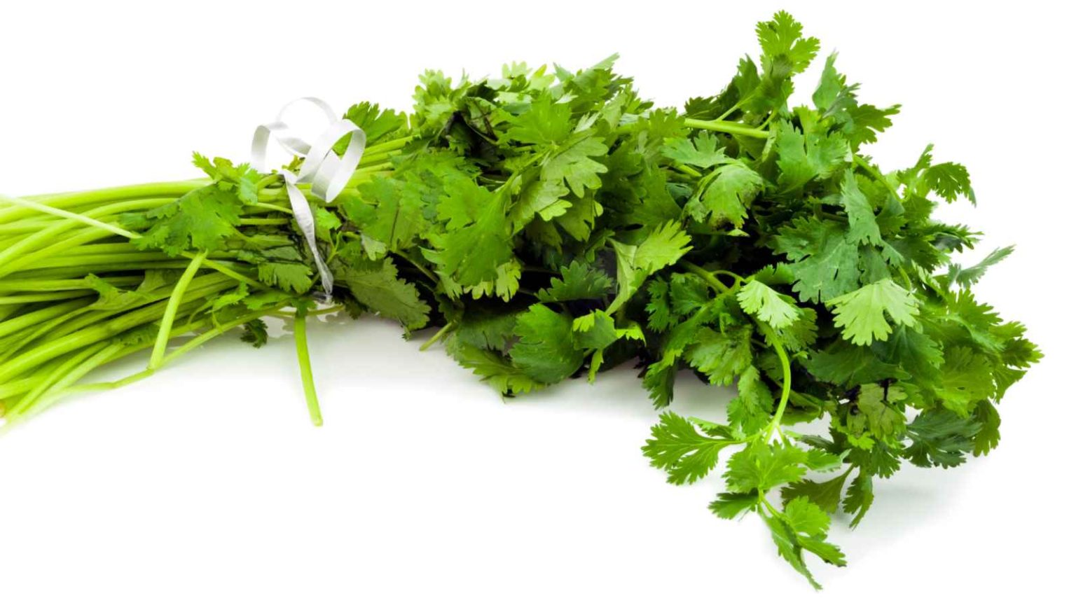 Flush Out Toxins! The Best 12 Foods for a Heavy Metal Detox