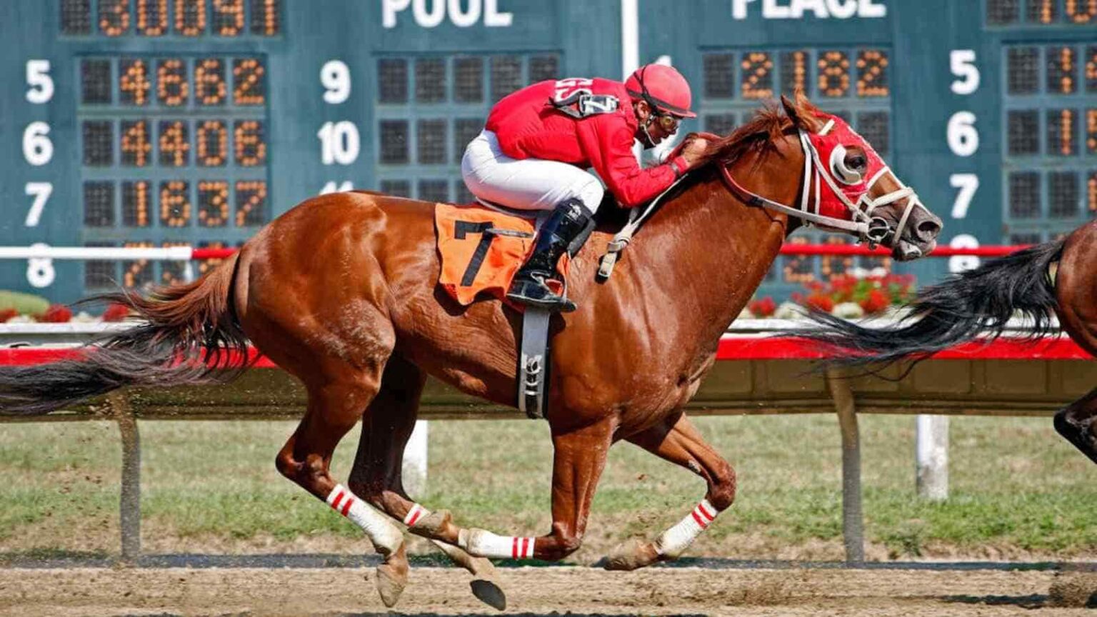 Bet You Didn’t Know These 30 Facts About the Kentucky Derby!