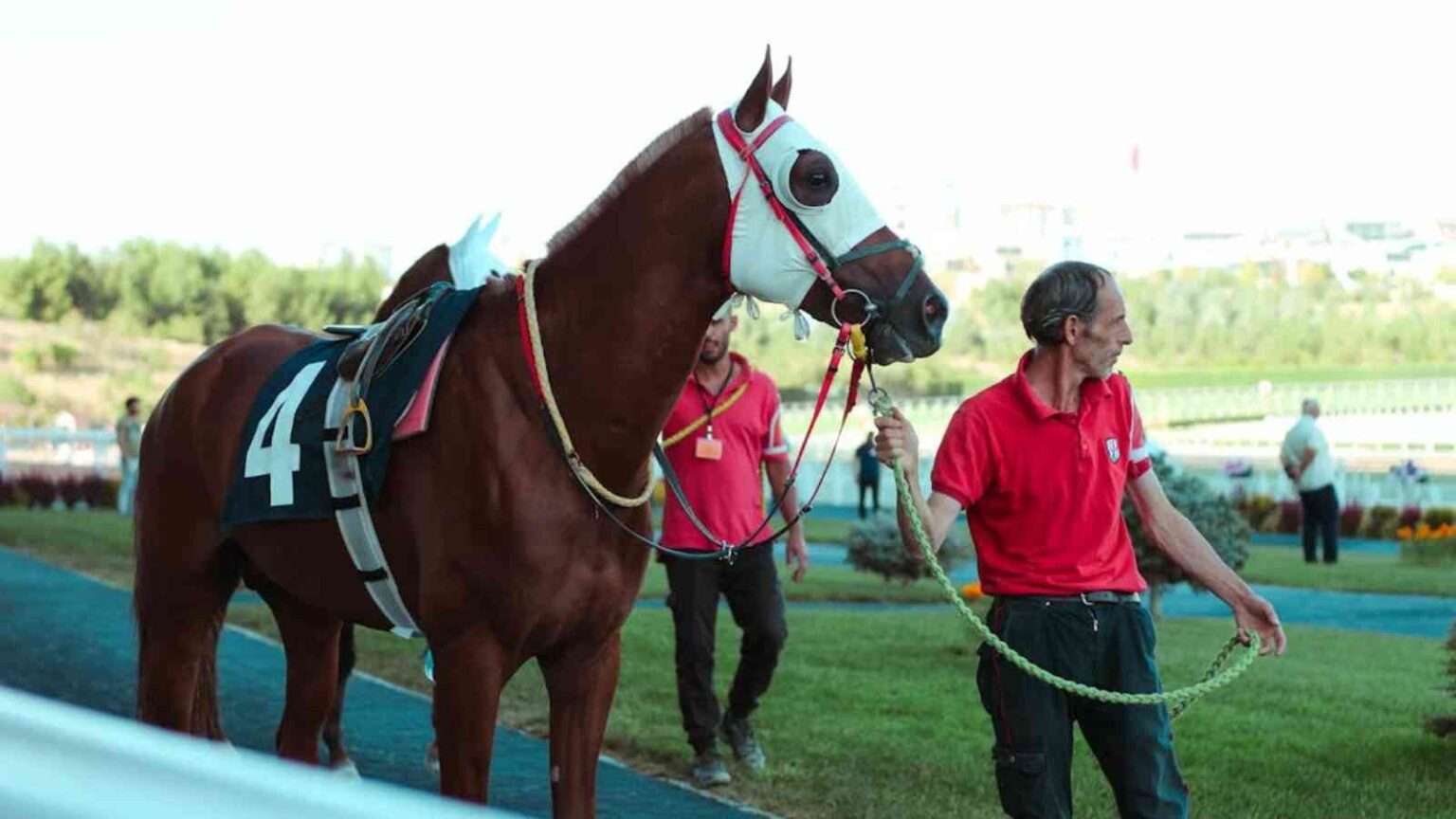 Bet You Didn’t Know These 30 Facts About the Kentucky Derby!
