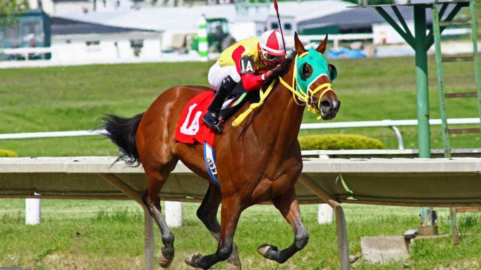 Bet You Didn’t Know These 30 Facts About the Kentucky Derby!