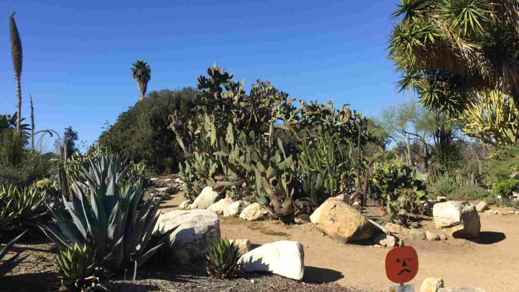 15 Kid-Friendly California Gardens to Visit This National Public ...