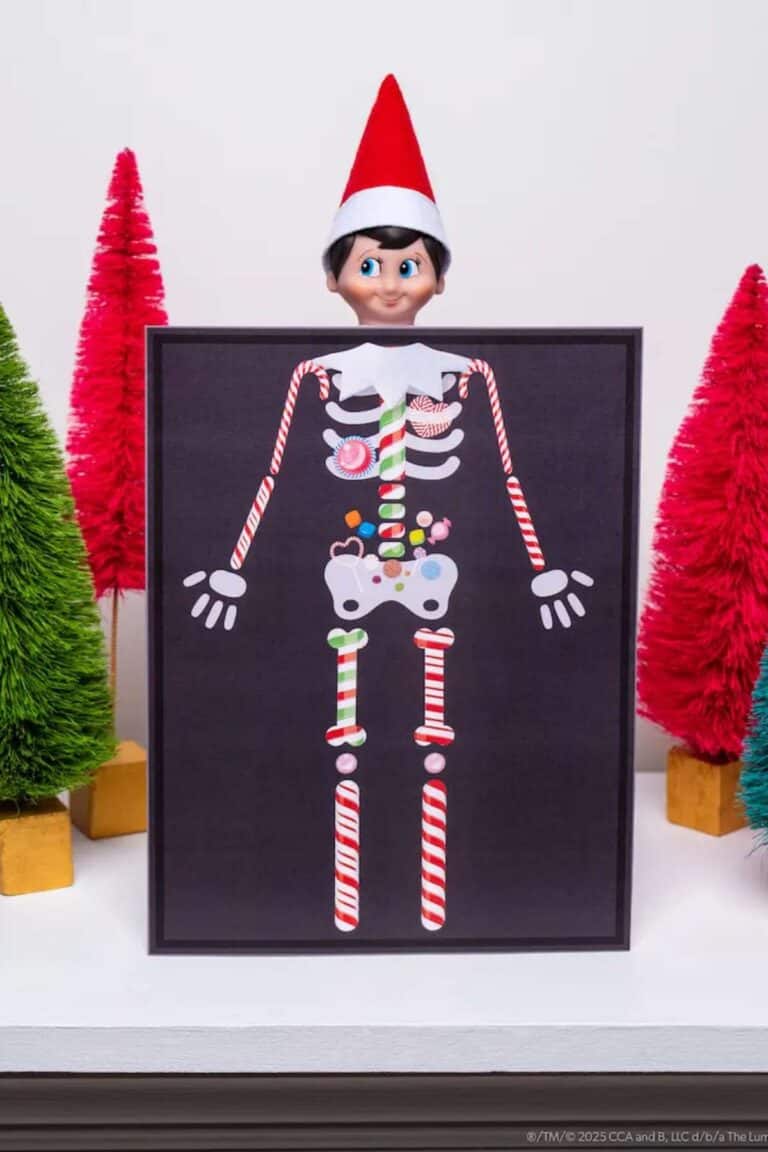 45 Creative Elf on the Shelf Ideas That’ll Make You Look Like the Fun ...